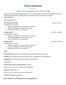 Professional simple resume template | GetYourCV